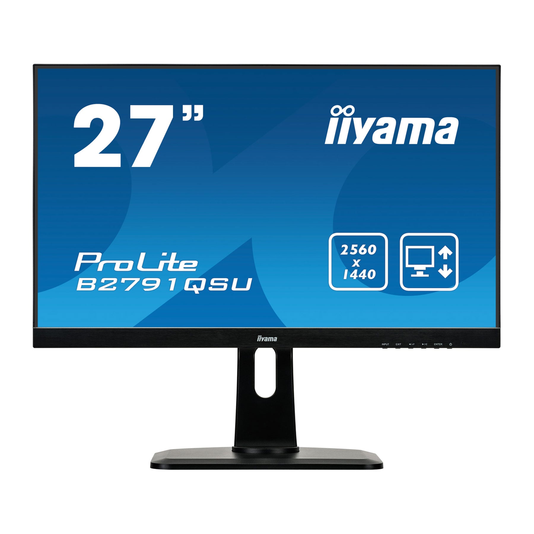 Cran Iiyama 27 Pouces